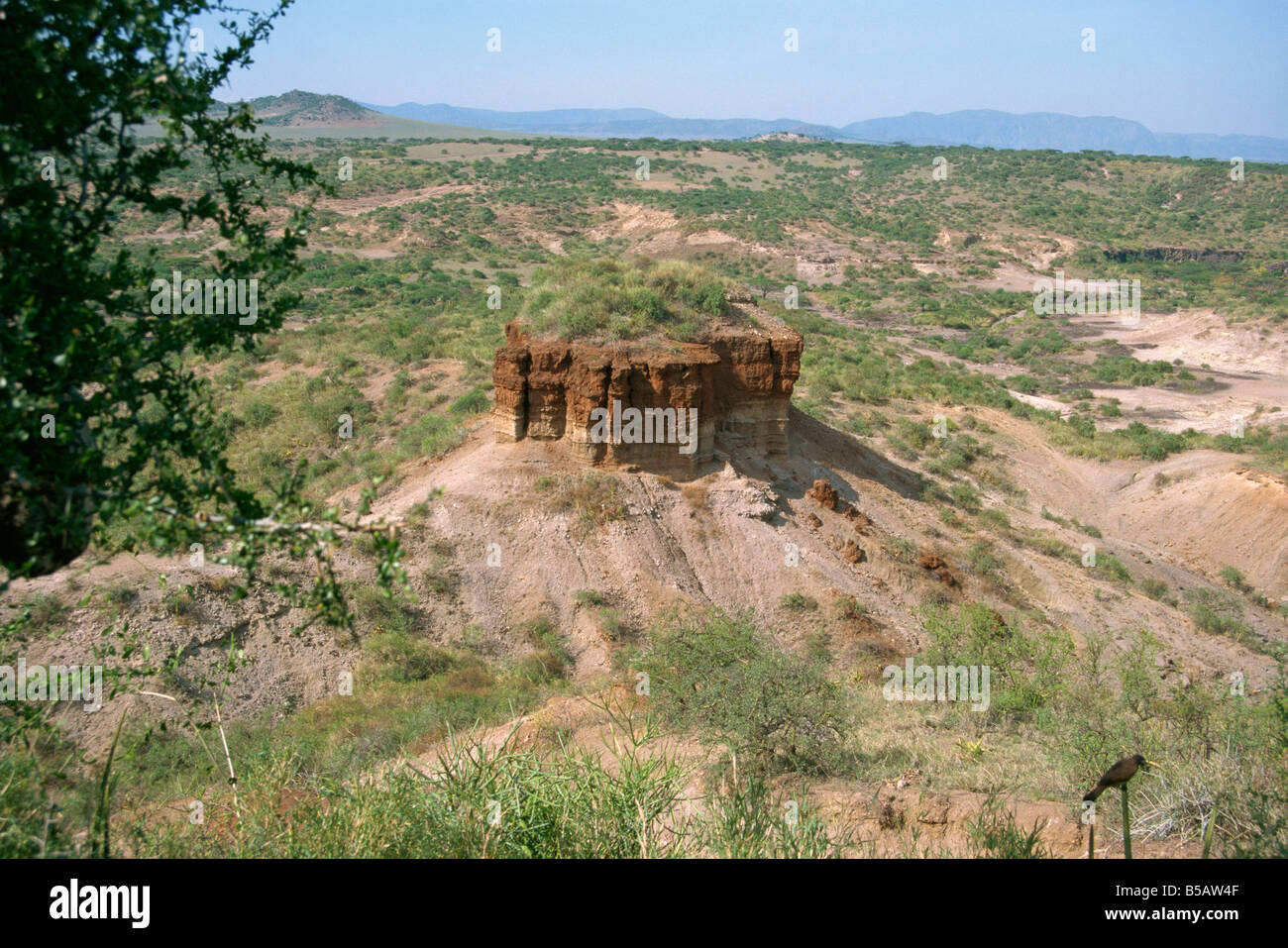 Olduvai gorge hi-res stock photography and images - Alamy