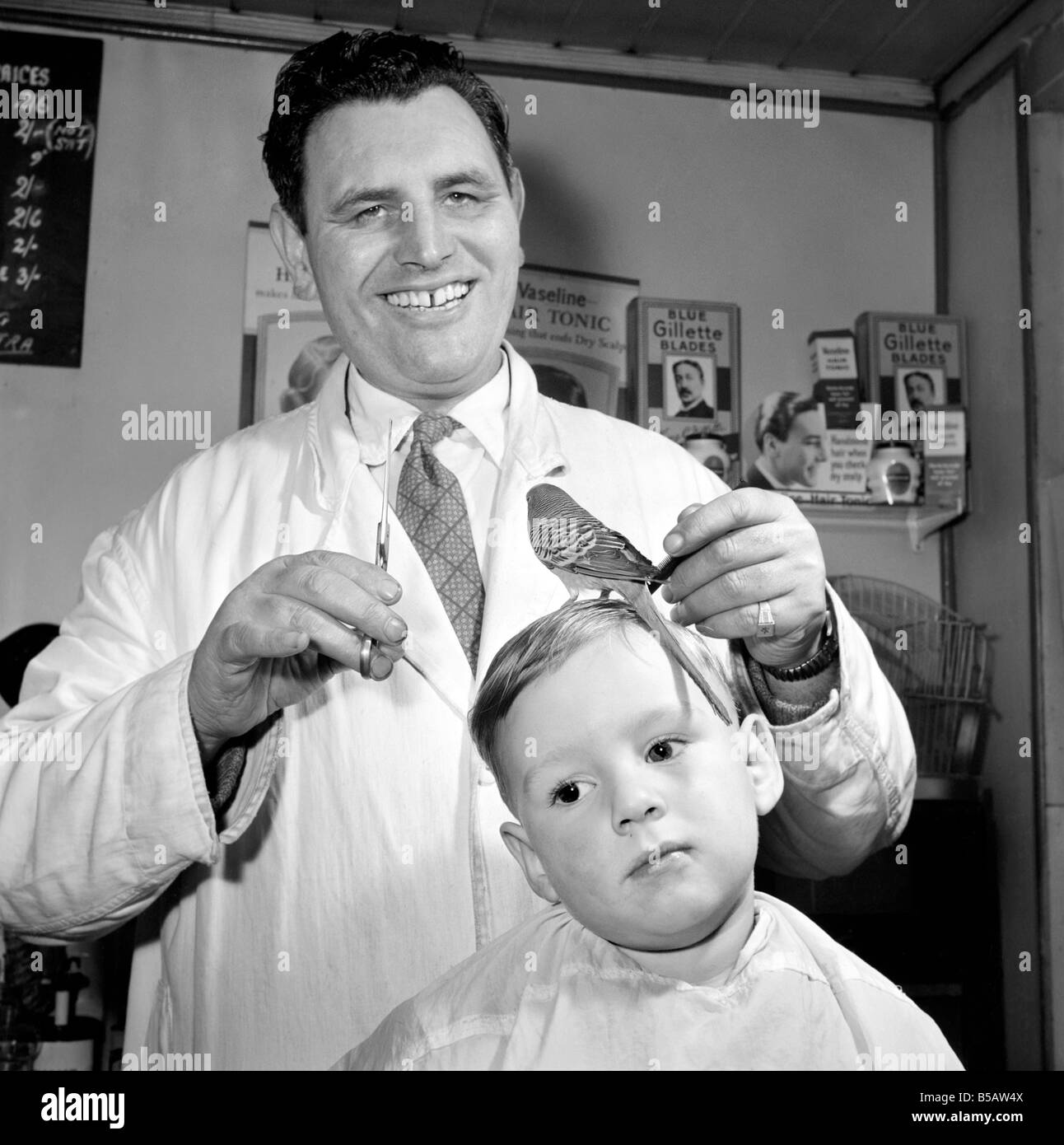 Barber Shop Humour: Mr. Jim Reid with Billy the Budgie seen here at the ...