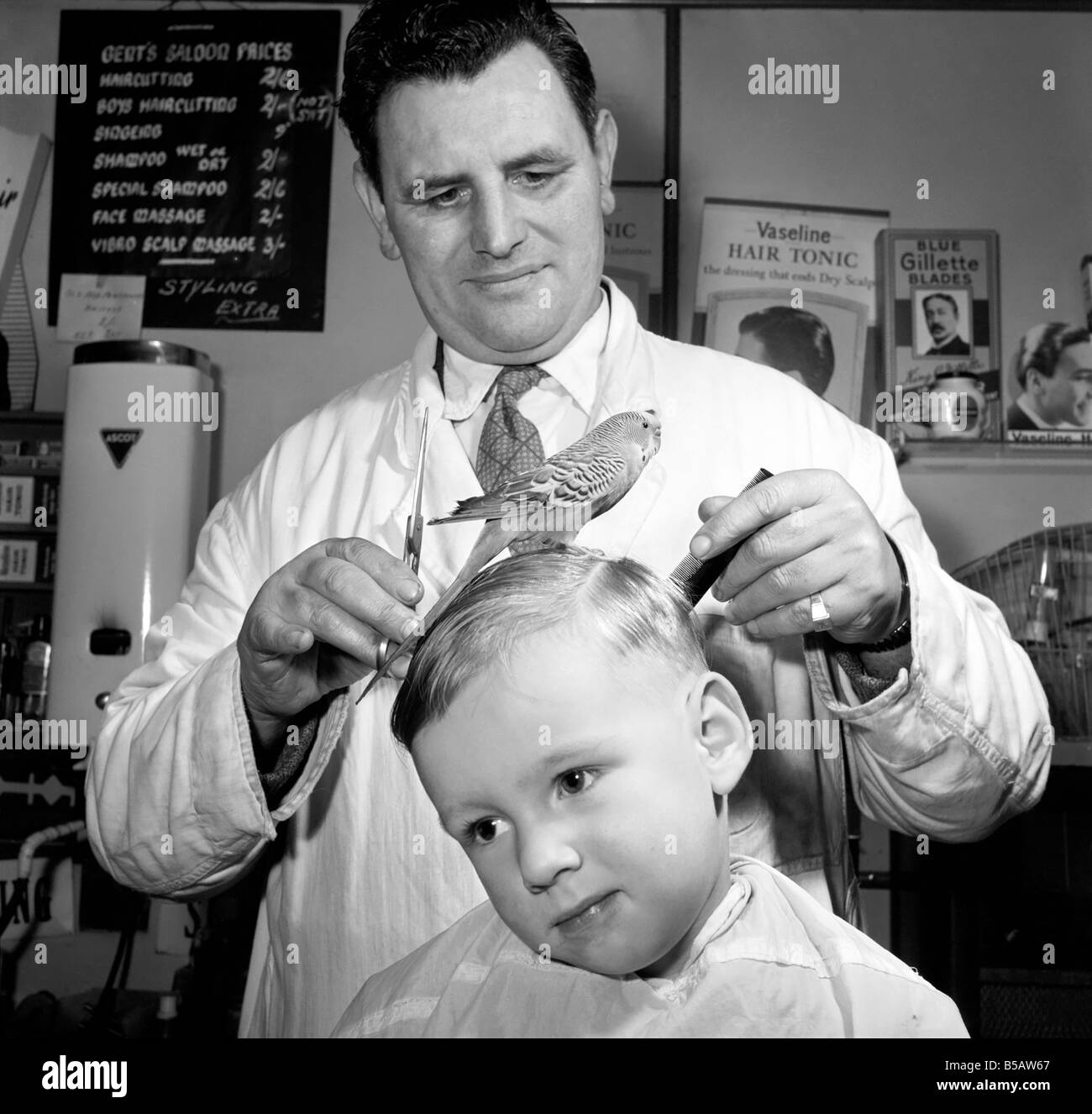 Barber Shop Humour: Mr. Jim Reid with Billy the Budgie seen here at the ...