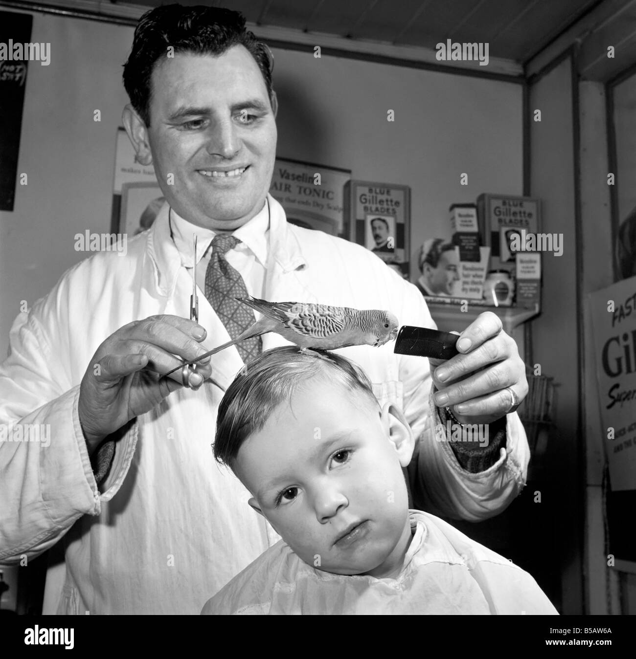 Barber Shop Humour: Mr. Jim Reid with Billy the Budgie seen here at the ...
