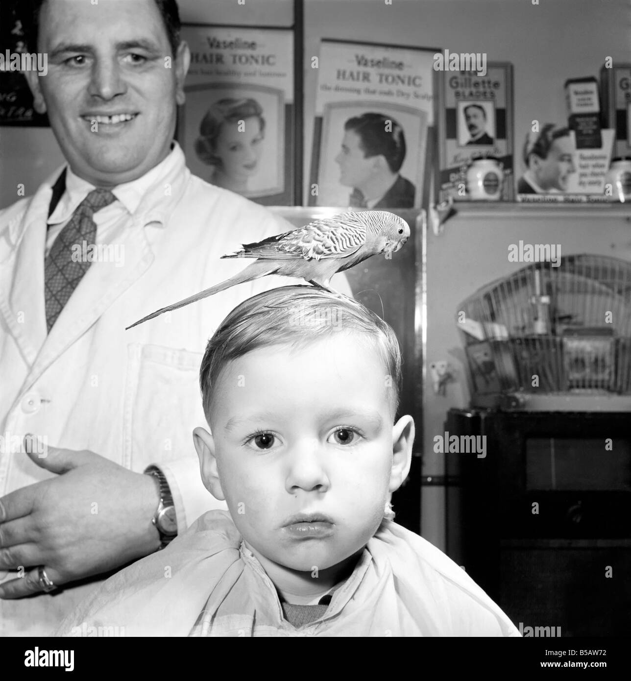 Barber Shop Humour: Mr. Jim Reid with Billy the Budgie seen here at the ...