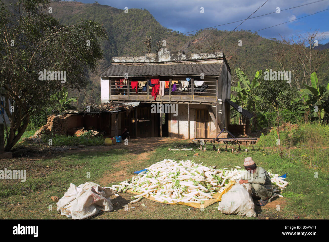 Packing vegetables hi-res stock photography and images - Alamy