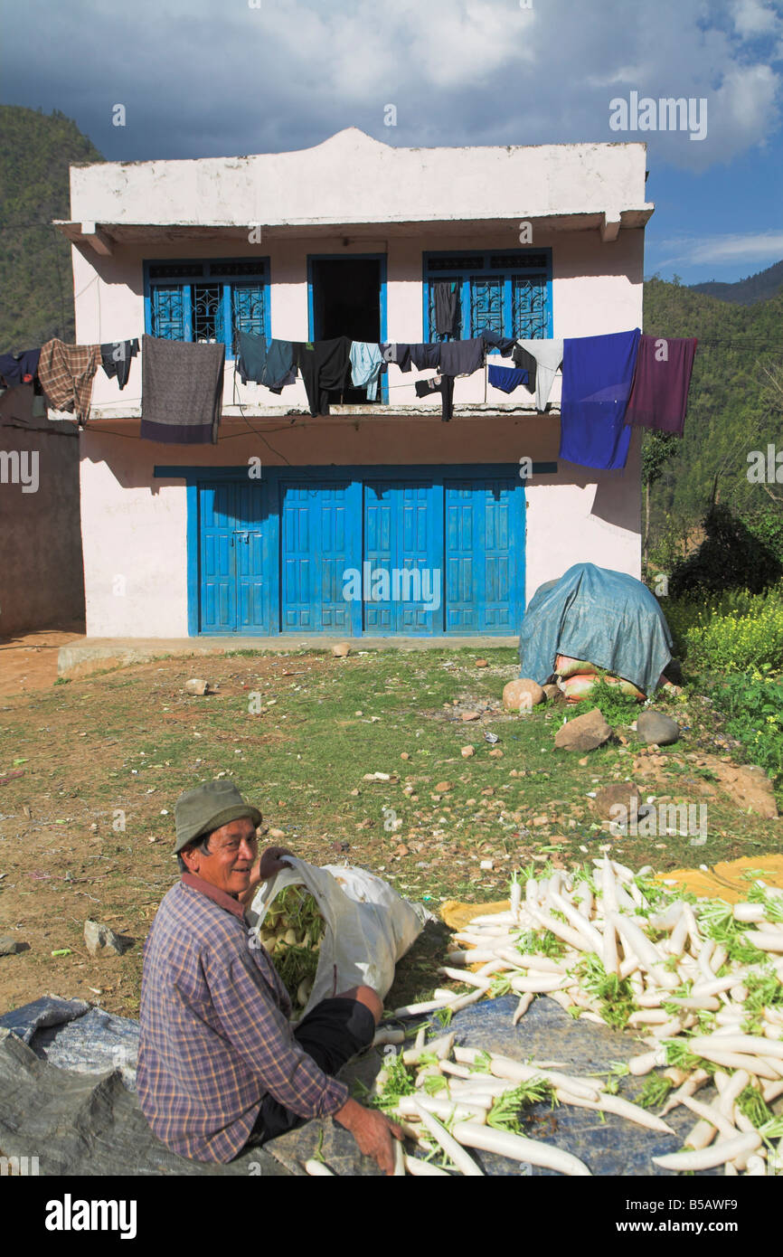 Packing vegetables hi-res stock photography and images - Alamy