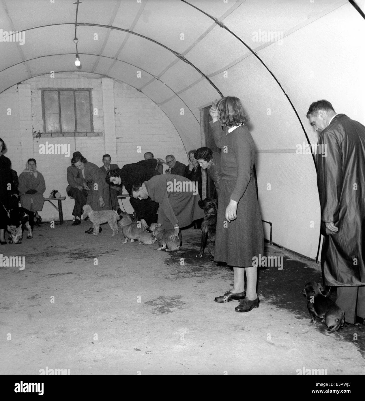 Barbara woodhouse hi-res stock photography and images - Alamy