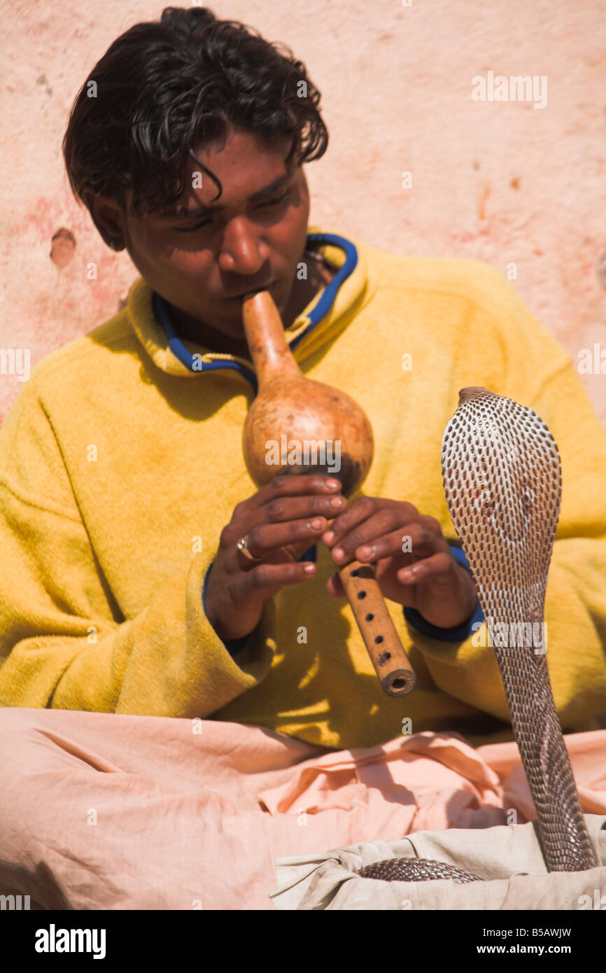 Snake charmer Patan Bagmati Nepal Asia Stock Photo - Alamy