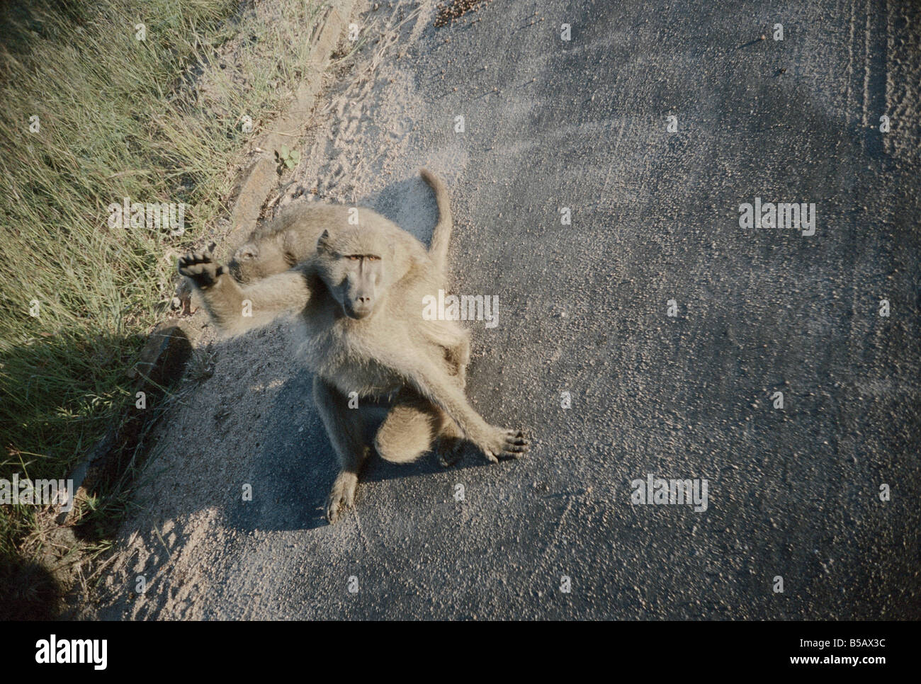 Viewsittingtwo hi-res stock photography and images - Alamy