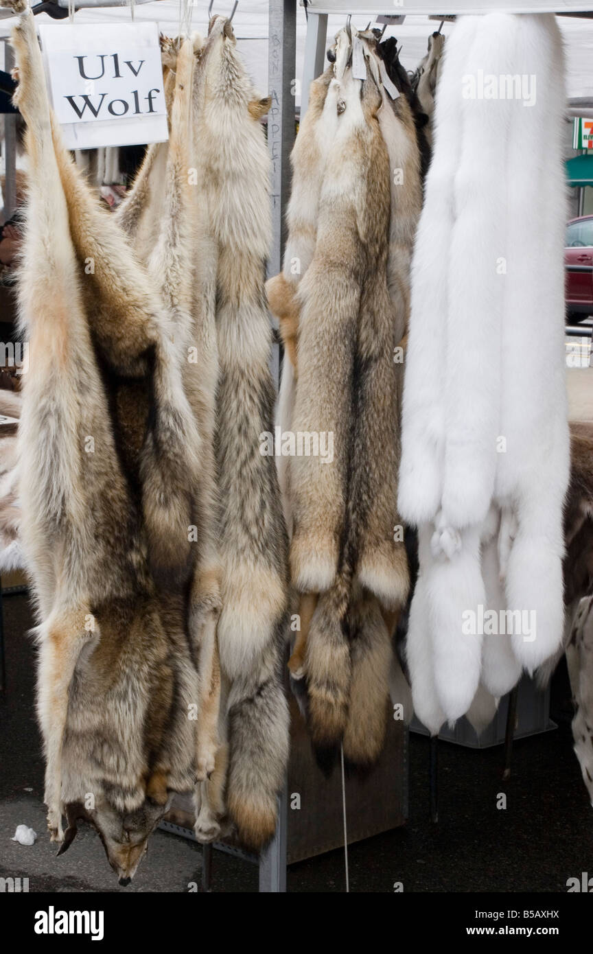Wolf fashion hi-res stock photography and images - Alamy