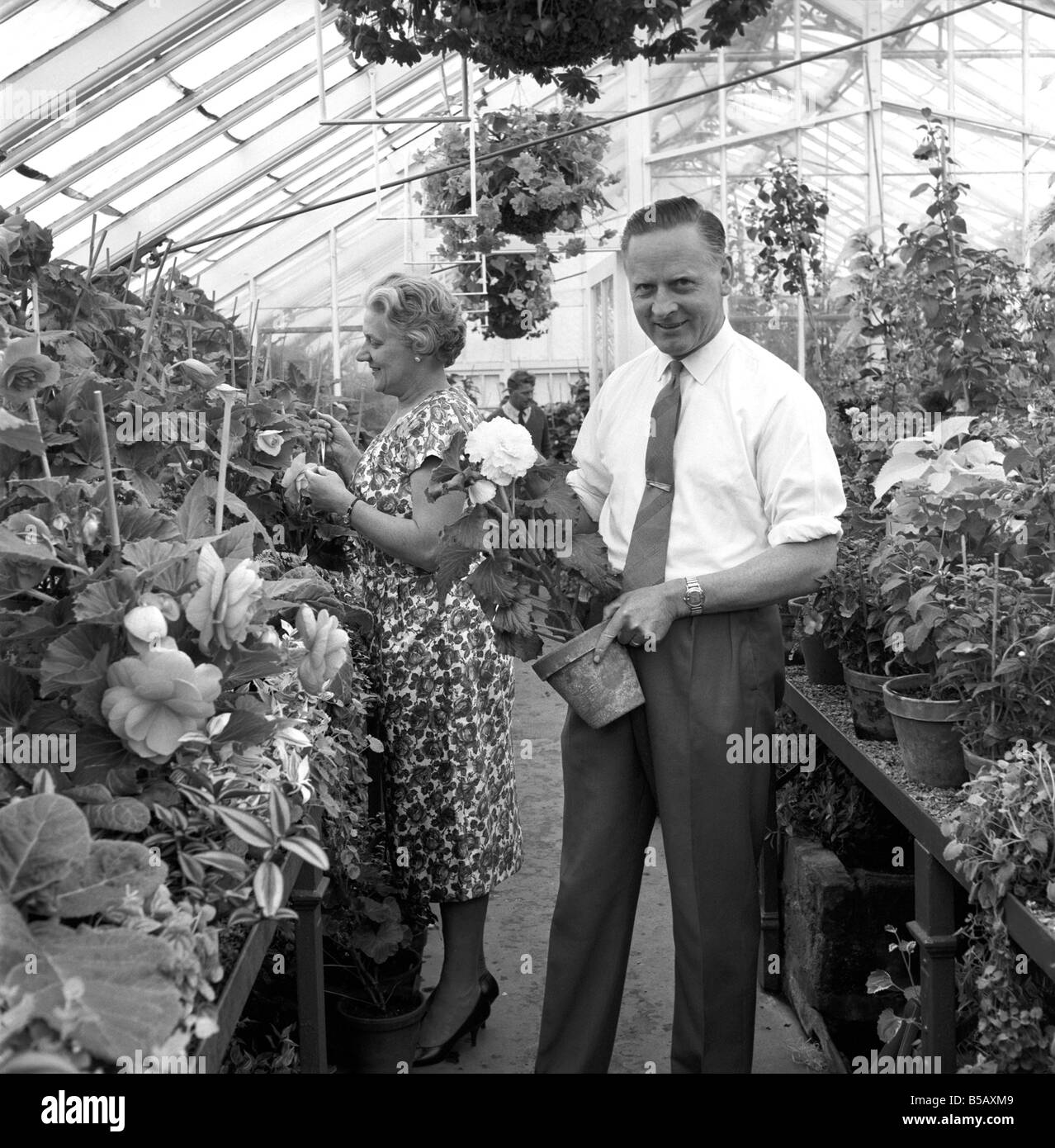 TV Gardener Percy Thrower - seen here at home. 1966 A968-004 Stock ...
