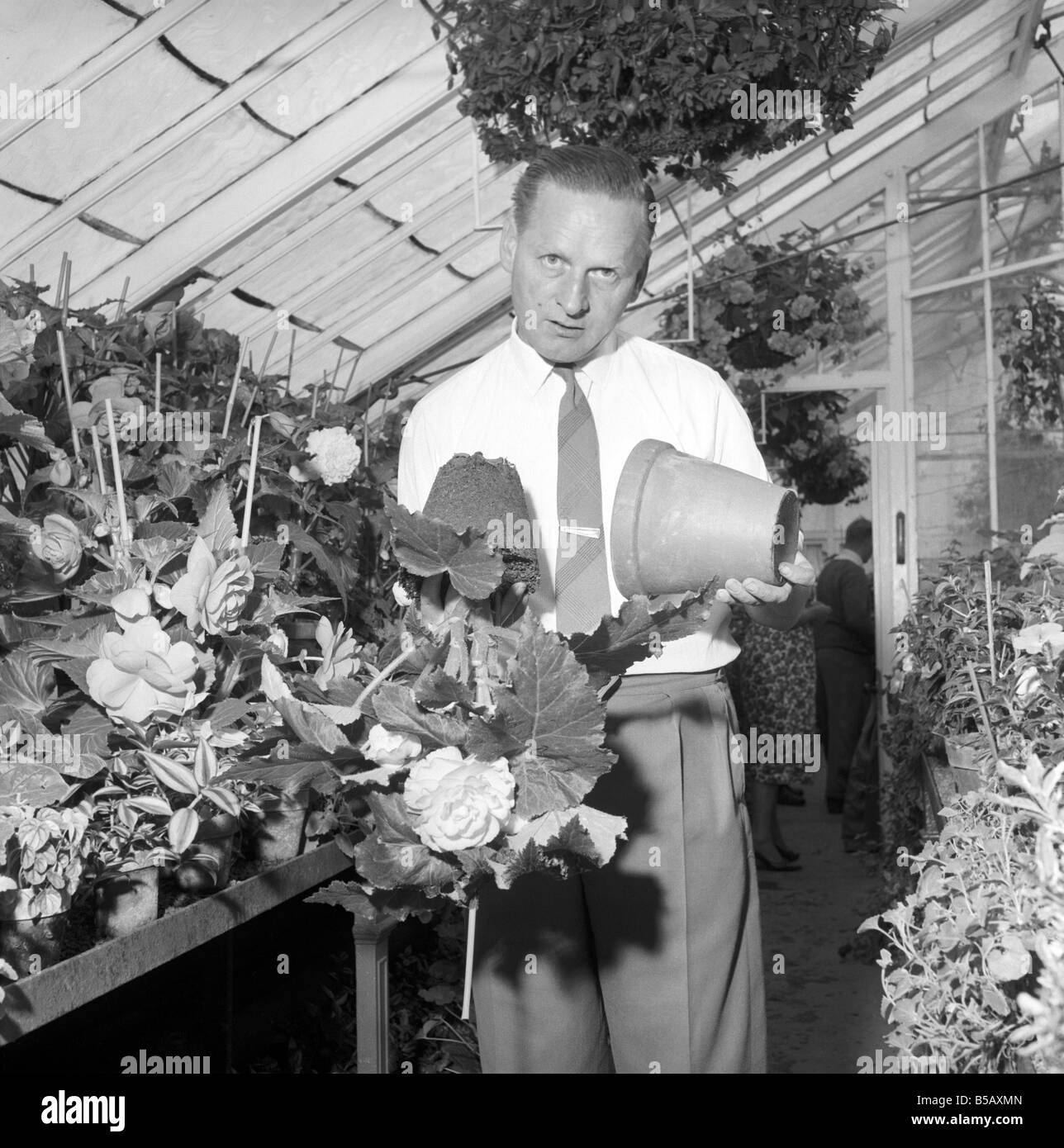 TV Gardener Percy Thrower - seen here at home. 1966 A968-008 Stock ...