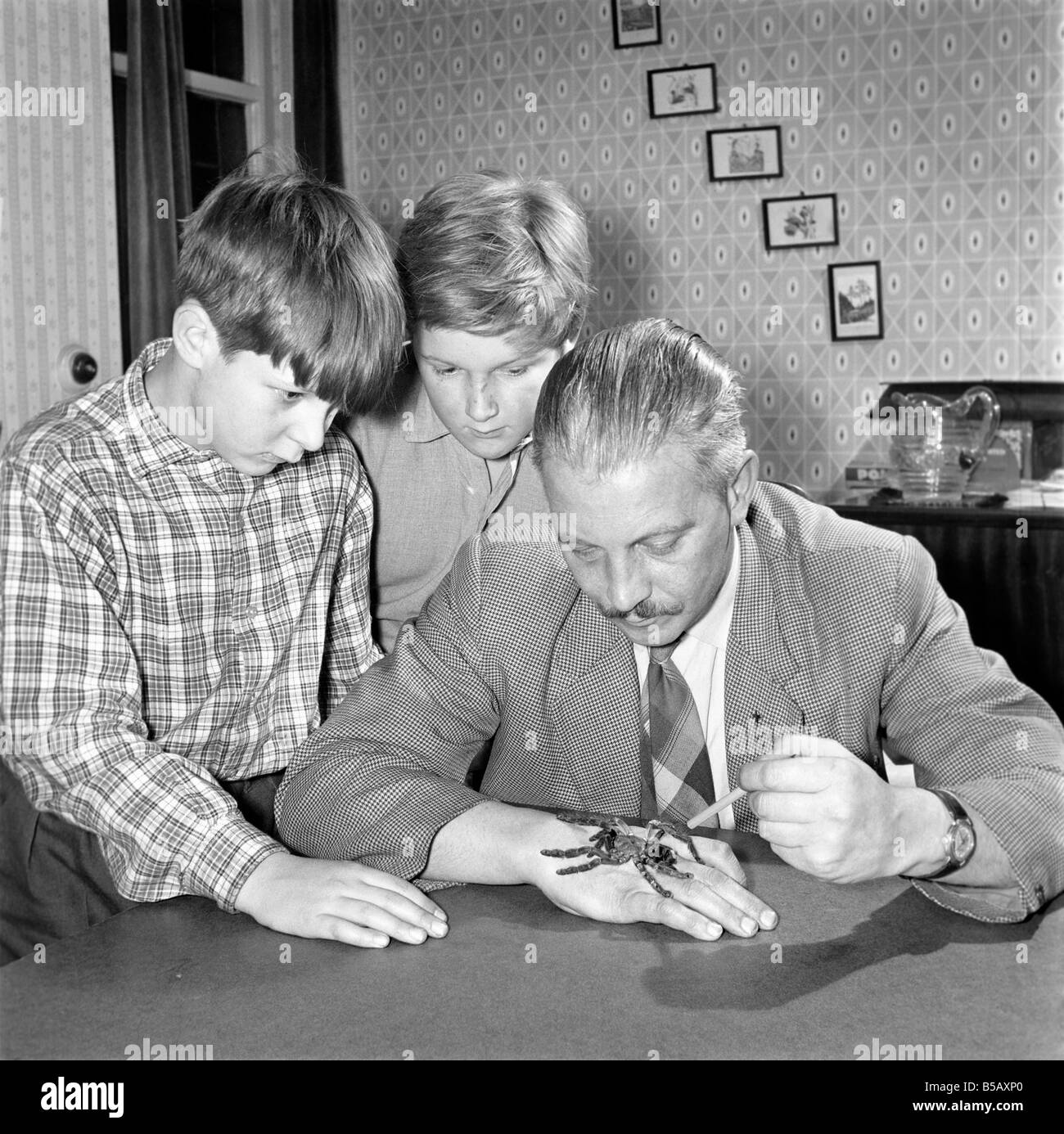 Spider collector Mr. S. Ormorod seen here showing the children two of ...