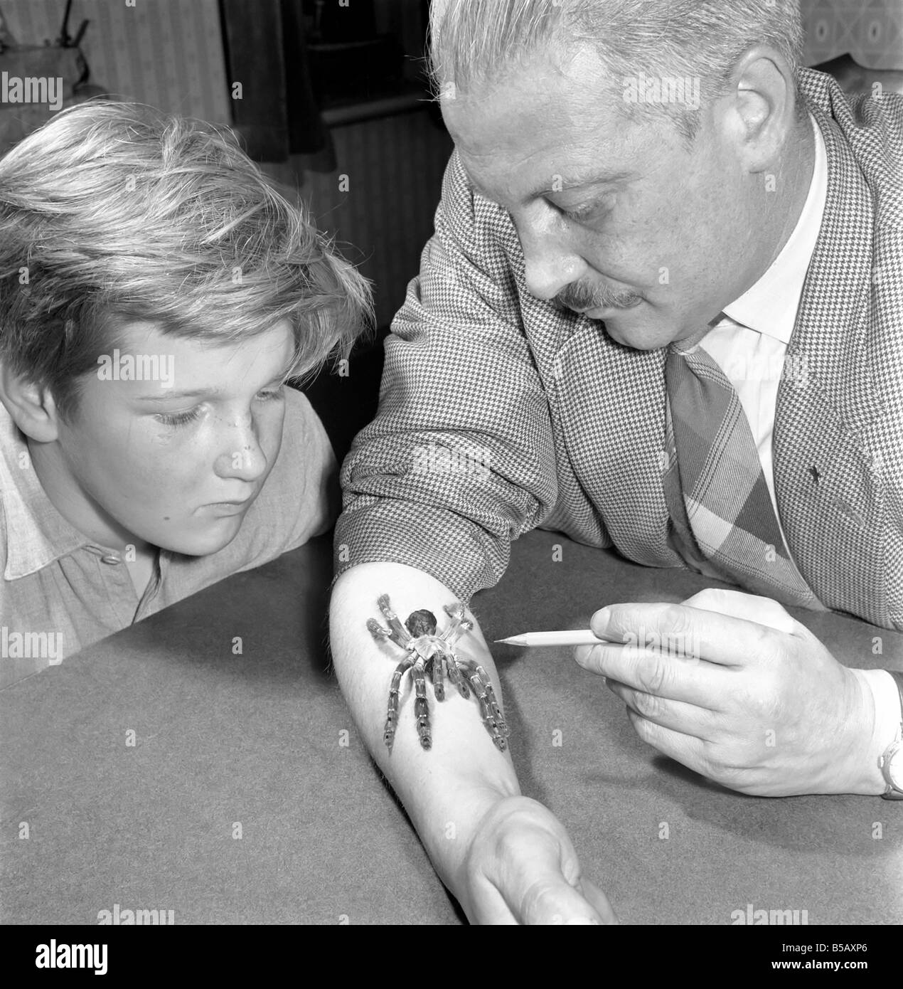 Spider collector Mr. S. Ormorod seen here showing the children two of ...