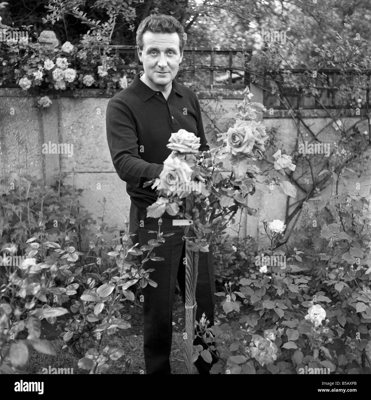 Actor Patrick McNee seen here at home. 1960 A999-002 Stock Photo - Alamy