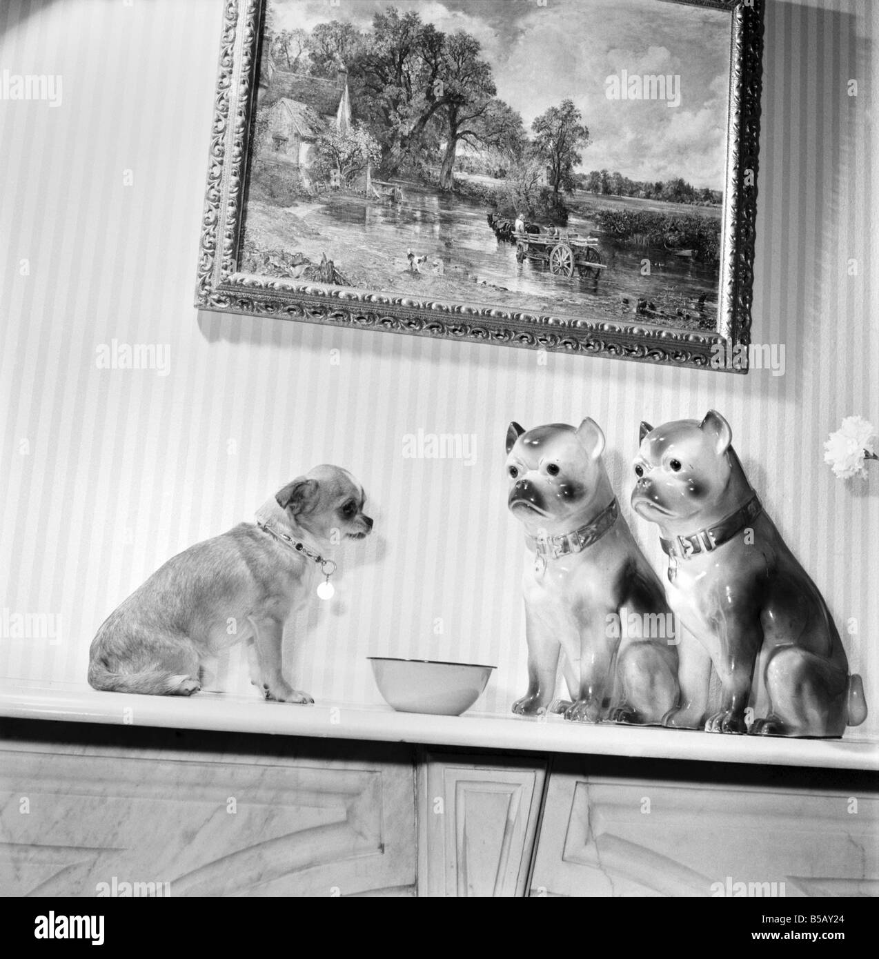 China dogs mantelpiece hi-res stock photography and images - Alamy