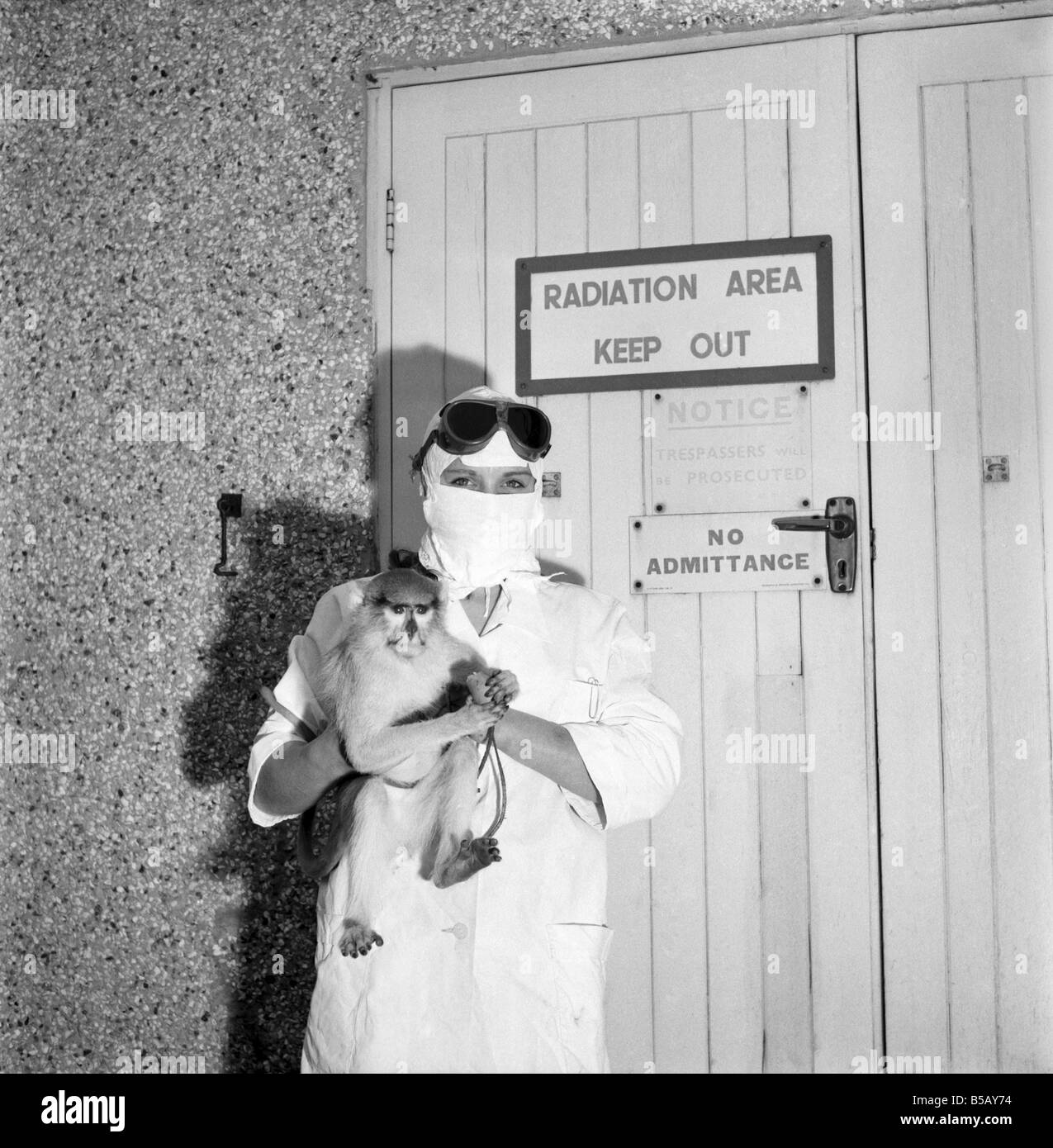 Radiation Testing: Monkey's are exposed to radiation at this U.K ...