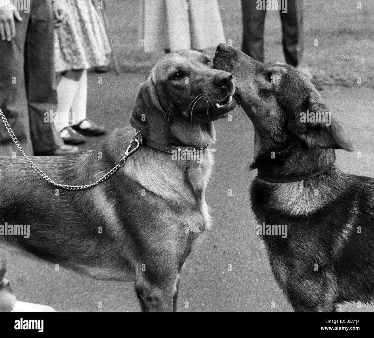 Candy and Romeo, nicknamed Houdini by the Police meet. ÑRomeoÉ the ...