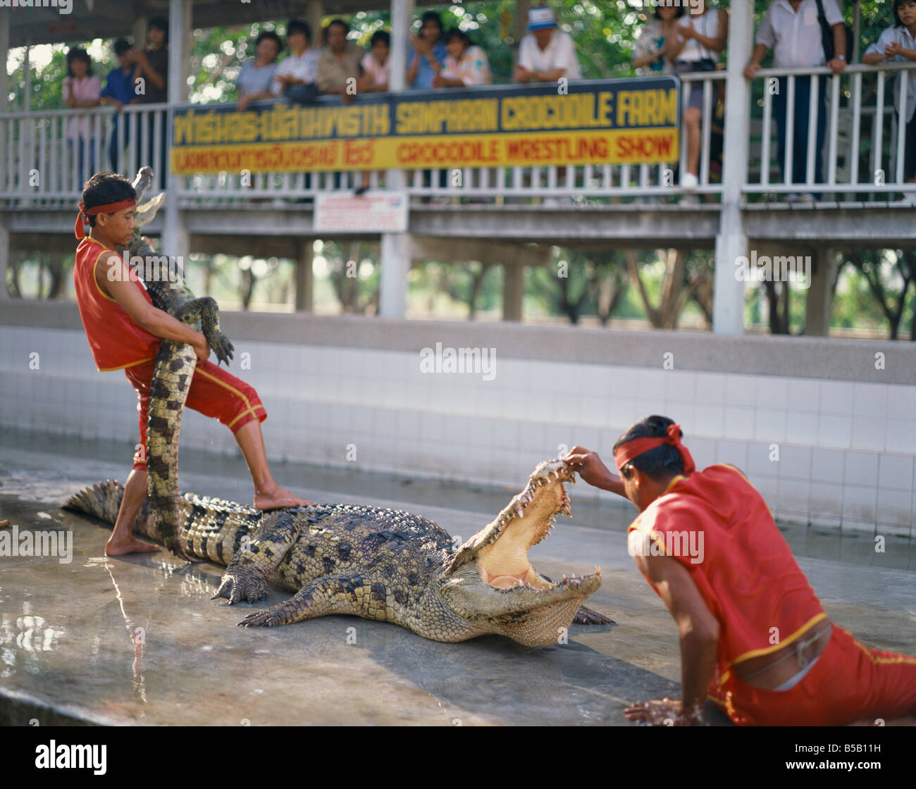 Bangkok crocodile farm hi-res stock photography and images - Alamy