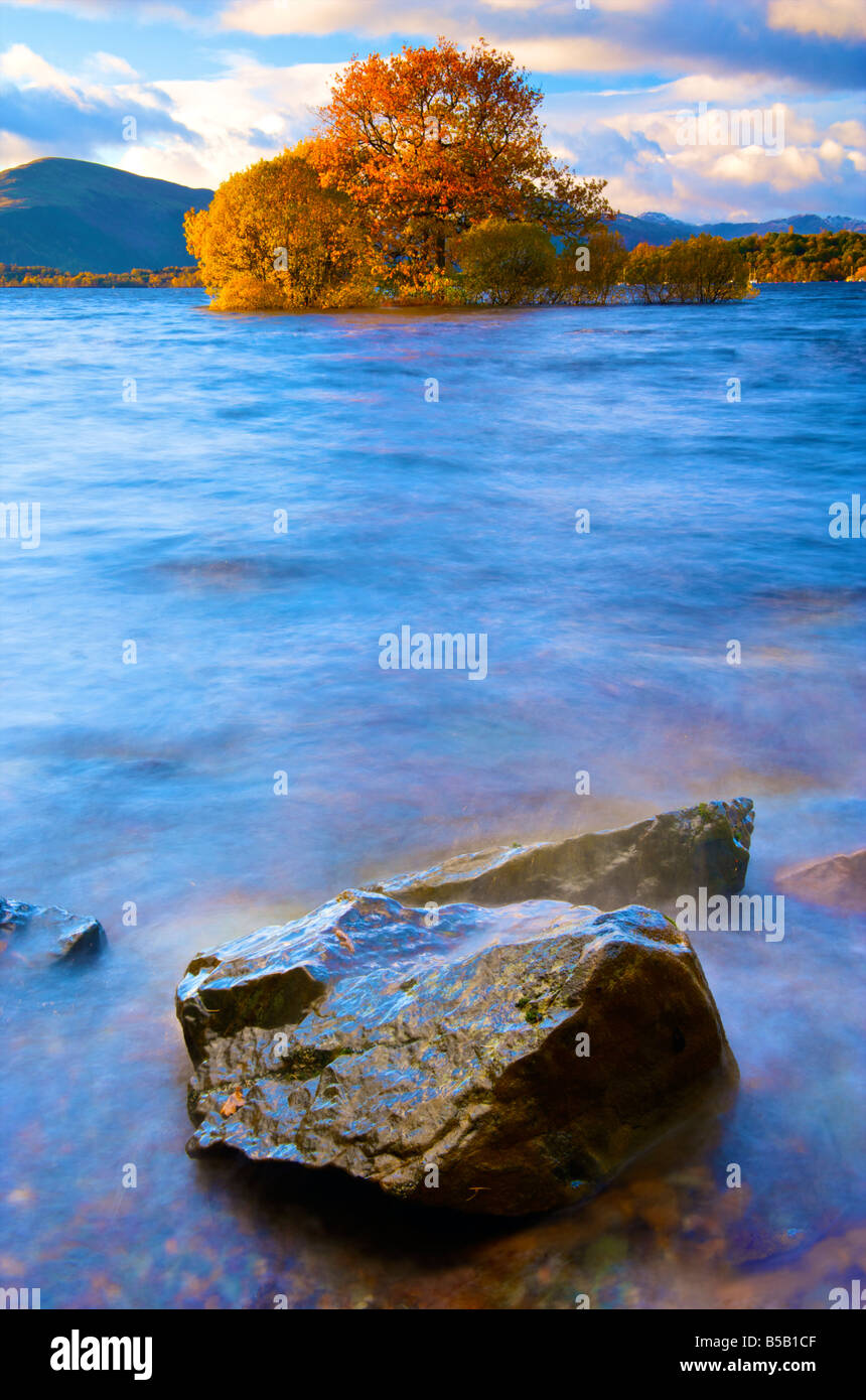Tree surrounded by water hi-res stock photography and images - Alamy
