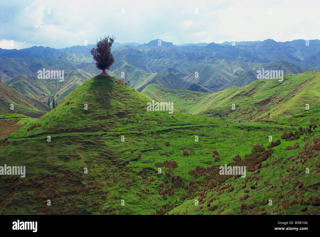 Wanganui wanganui hi-res stock photography and images - Alamy