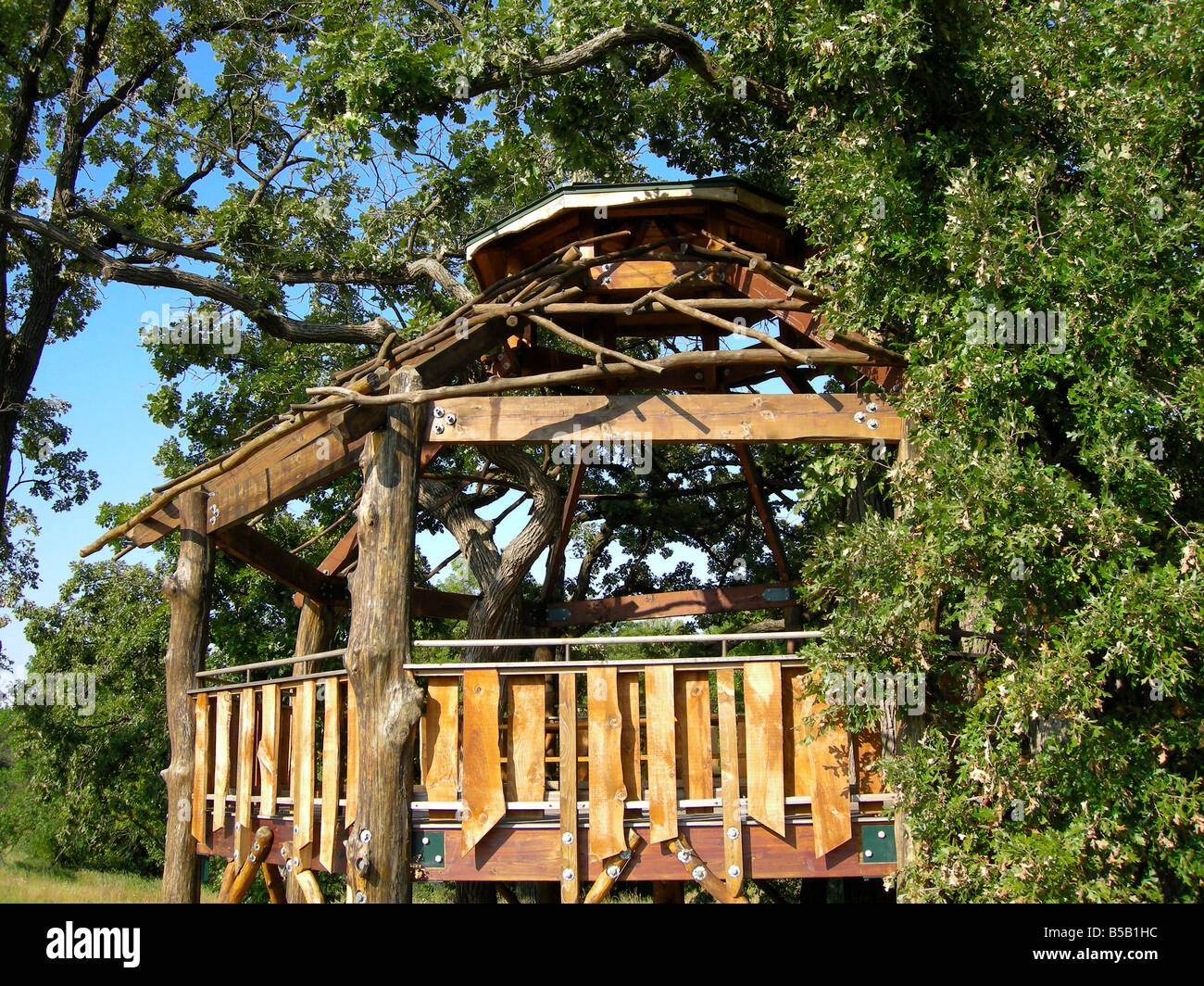 Tree House Gazebo Stock Photo - Alamy