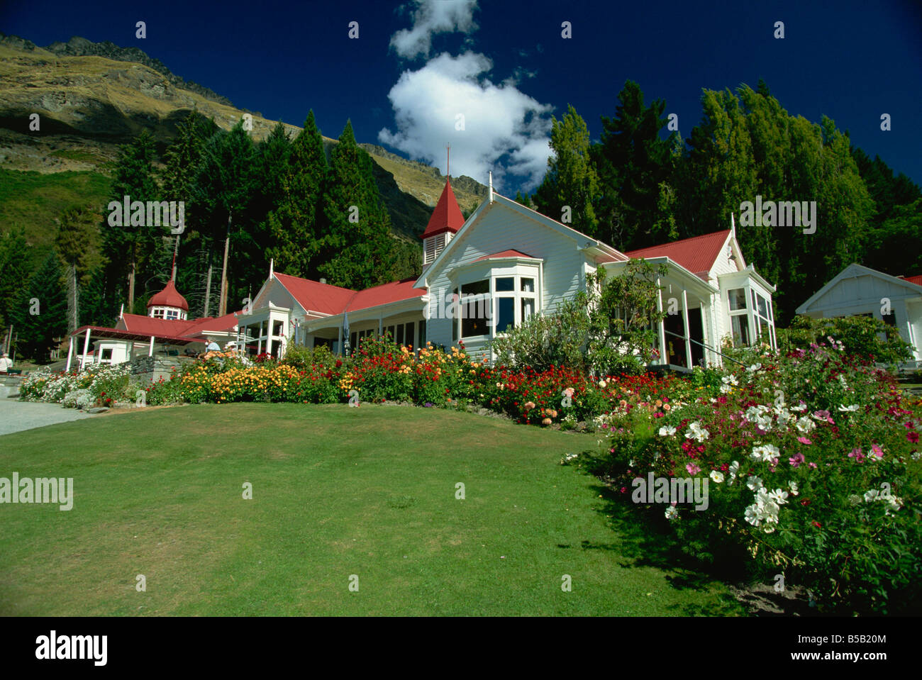 Sheep station new zealand hi-res stock photography and images - Alamy