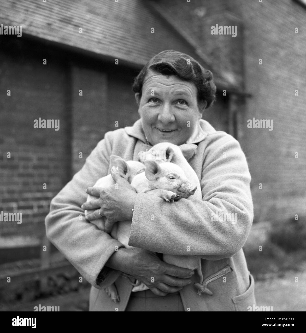 Mrs. Moss a livestock farmer seen here on the farm with her pigs. 1954 ...