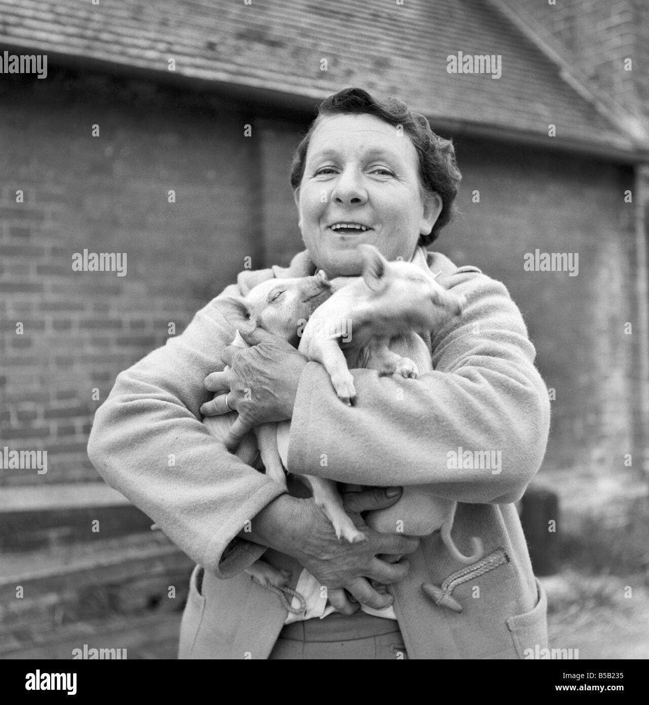 Mrs. Moss a livestock farmer seen here on the farm with her pigs. 1954 ...