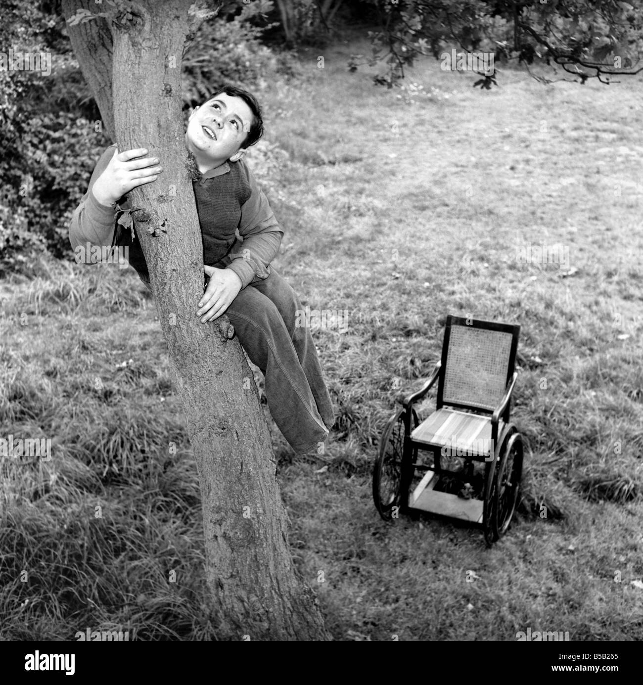 Boy climbing tree Black and White Stock Photos & Images - Alamy