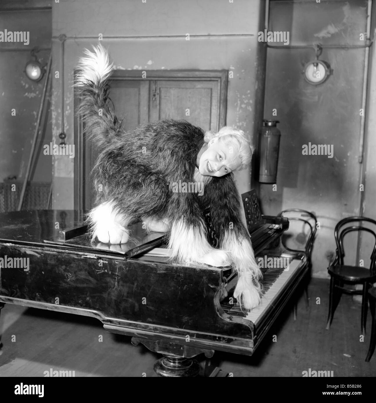 Pantomime cat: Actress Jeanie Craig as Tommy the cat in Dick ...