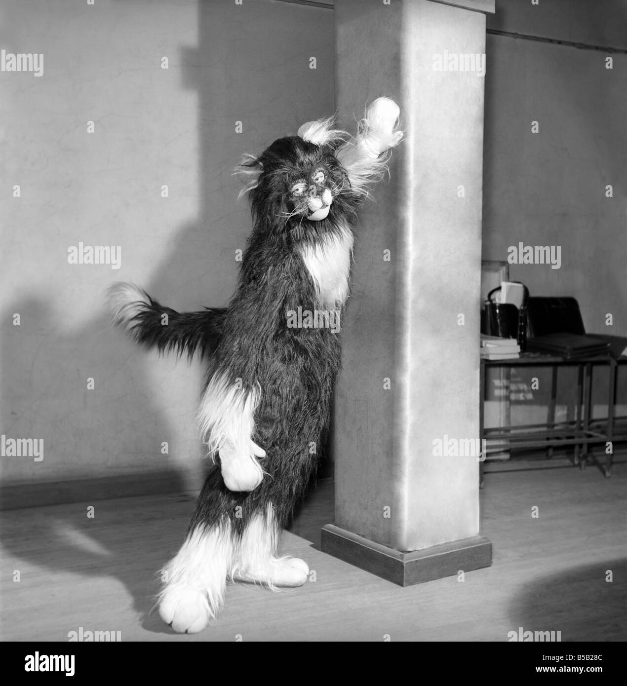 Pantomime cat: Actress Jeanie Craig as Tommy the cat in Dick ...