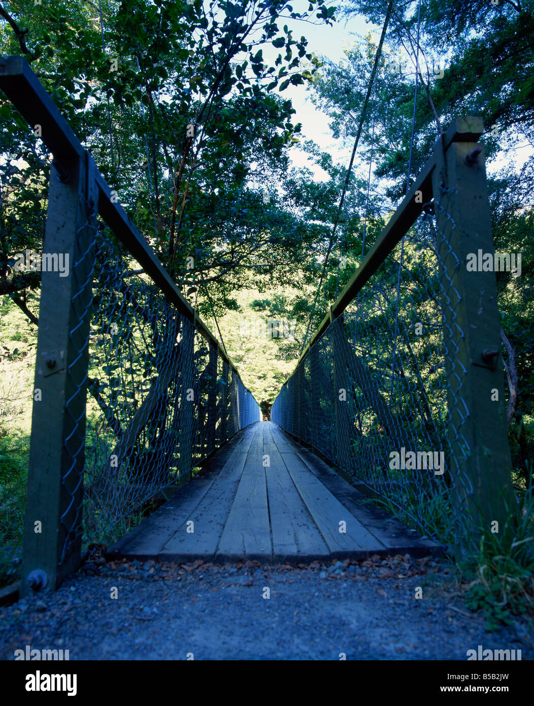 Wooden bridge in the Peloris Reserve Marlborough Sounds New Zealand J ...