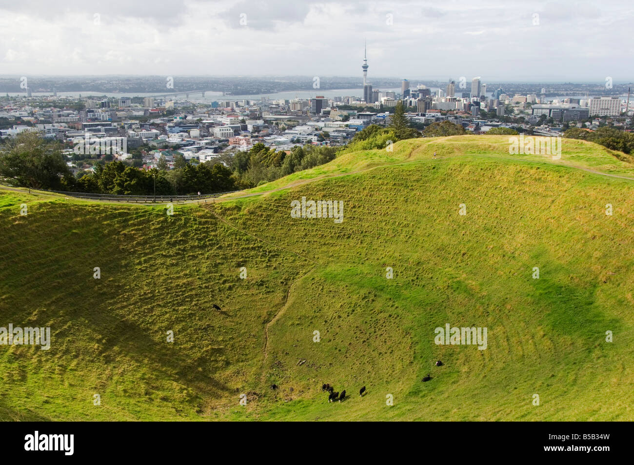 Crater mount eden auckland north hi-res stock photography and images ...