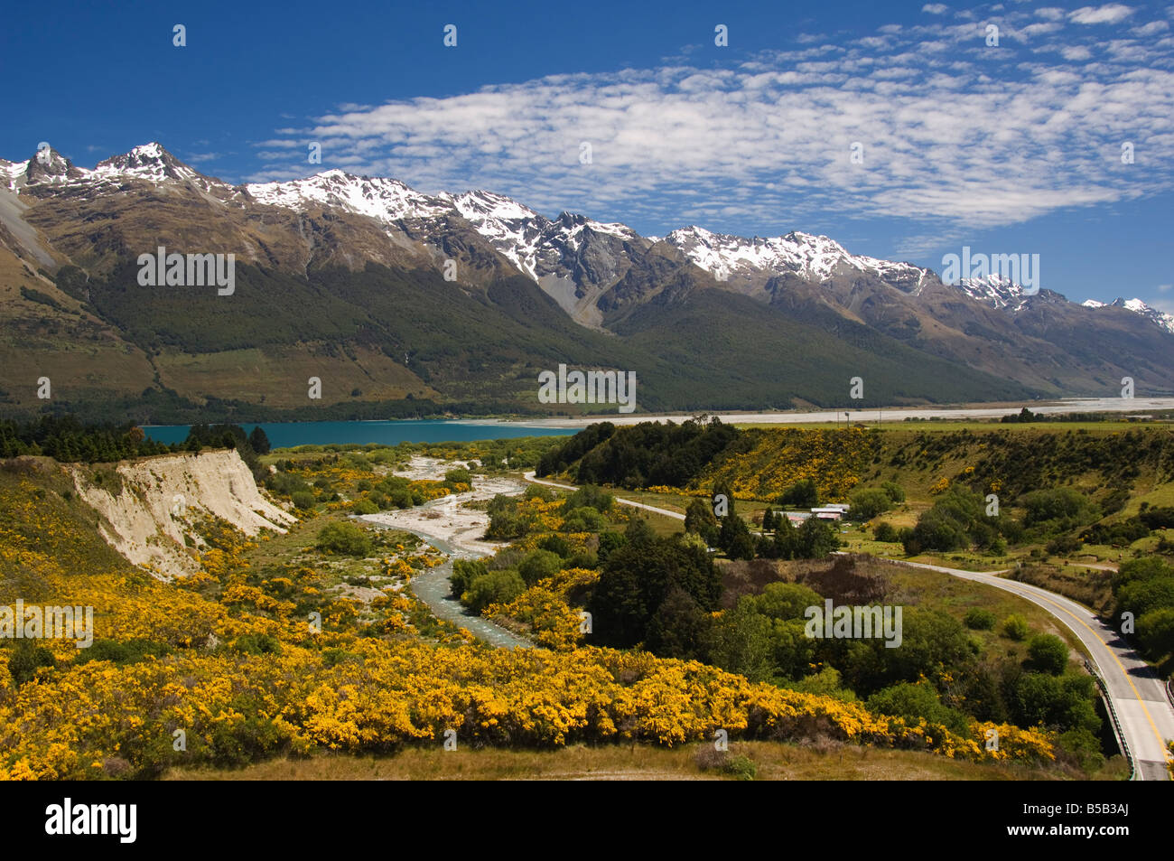 Bright summer flowers and snow capped mountains near Queenstown, Otago ...