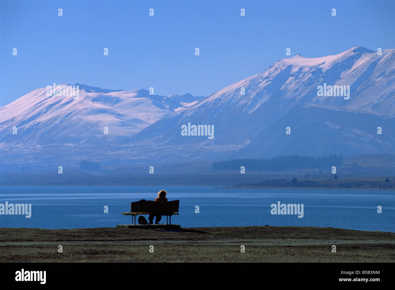Lake Tekapo, Mackenzie Basin, South Island, New Zealand, Pacific Stock ...