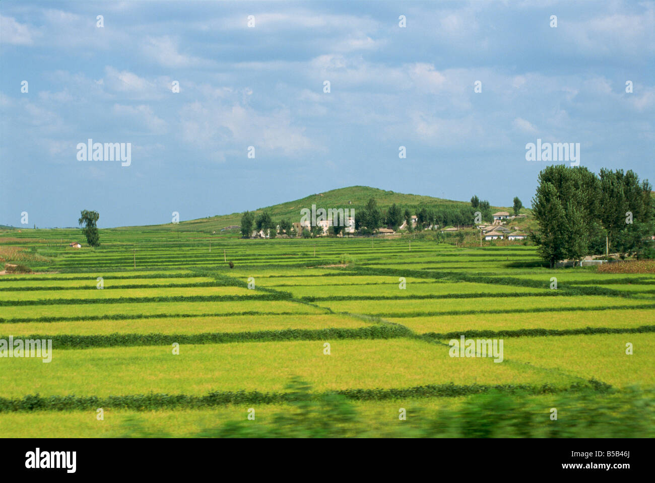 Rice fields in Imjin Valley Kaesong North Korea Asia Stock Photo - Alamy