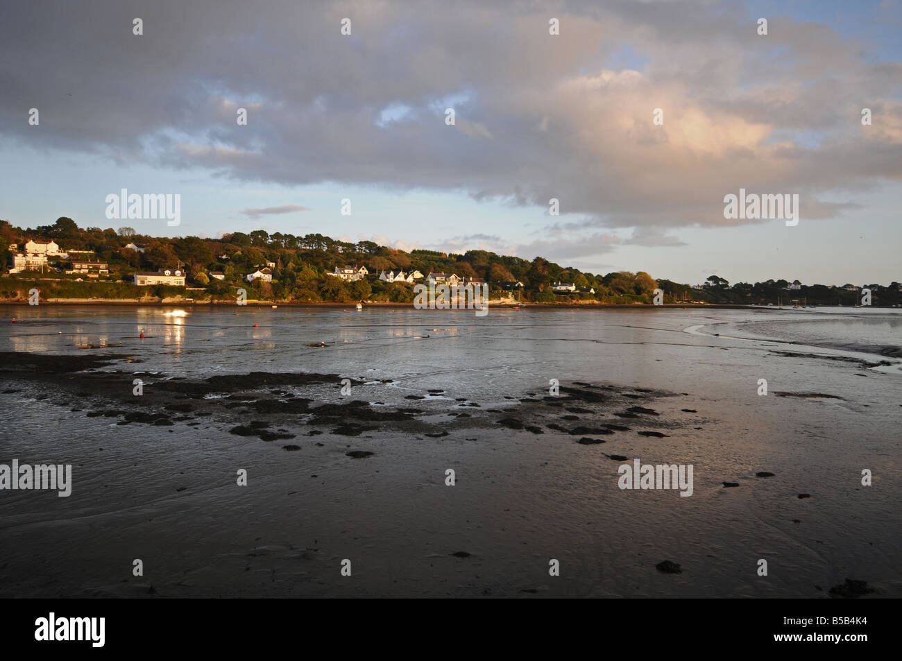 View of Penpol Creek from Point, Devoran, Cornwall, England Stock Photo ...