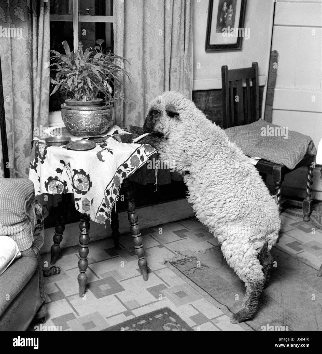 Living in our house Black and White Stock Photos & Images - Alamy
