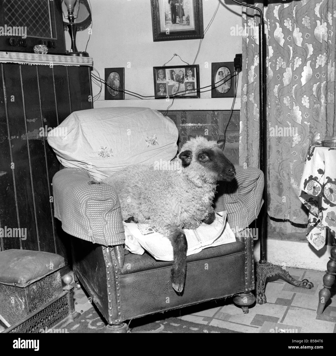Living in our house Black and White Stock Photos & Images - Alamy