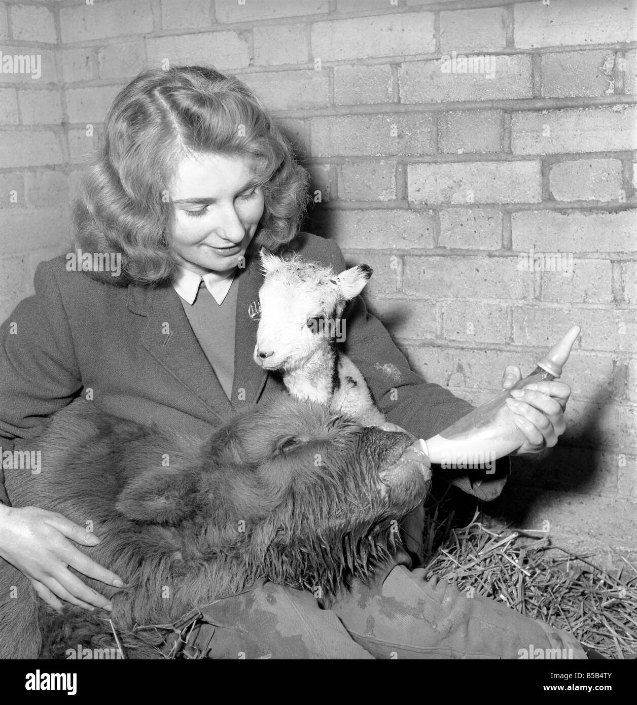 Cow keeper Black and White Stock Photos & Images - Alamy