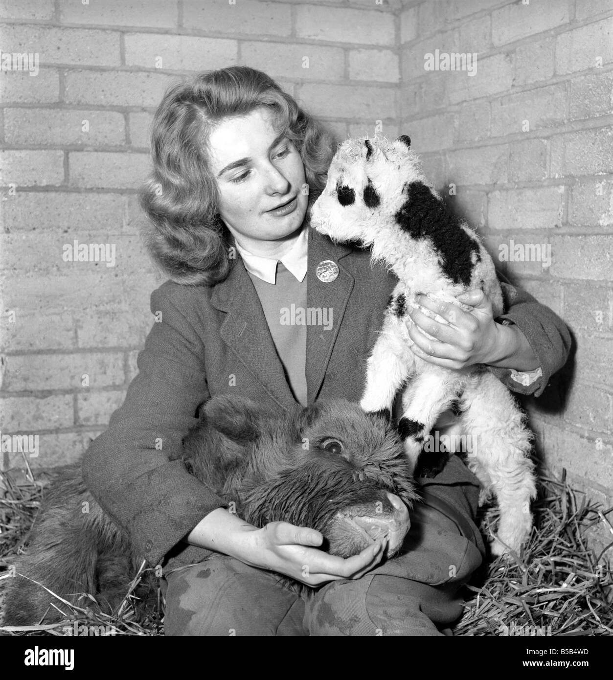 Cow keeper Black and White Stock Photos & Images - Alamy