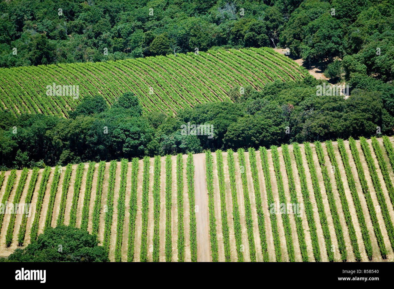 Aerial views over vineyard hi-res stock photography and images - Alamy