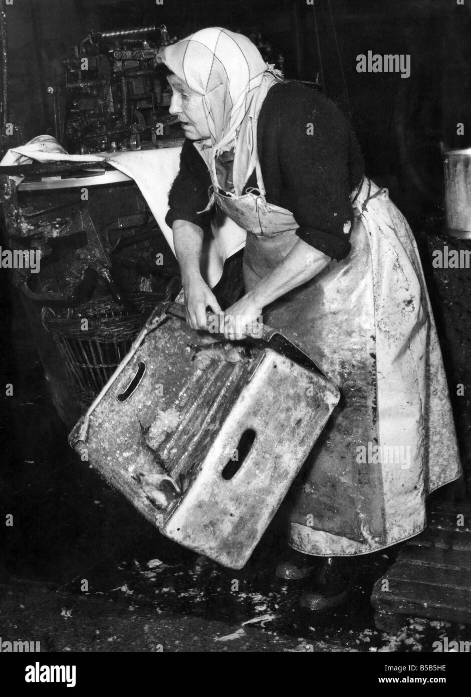 Wife fish Black and White Stock Photos & Images - Alamy