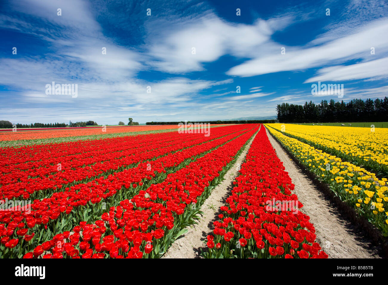Beautiful array hi-res stock photography and images - Alamy