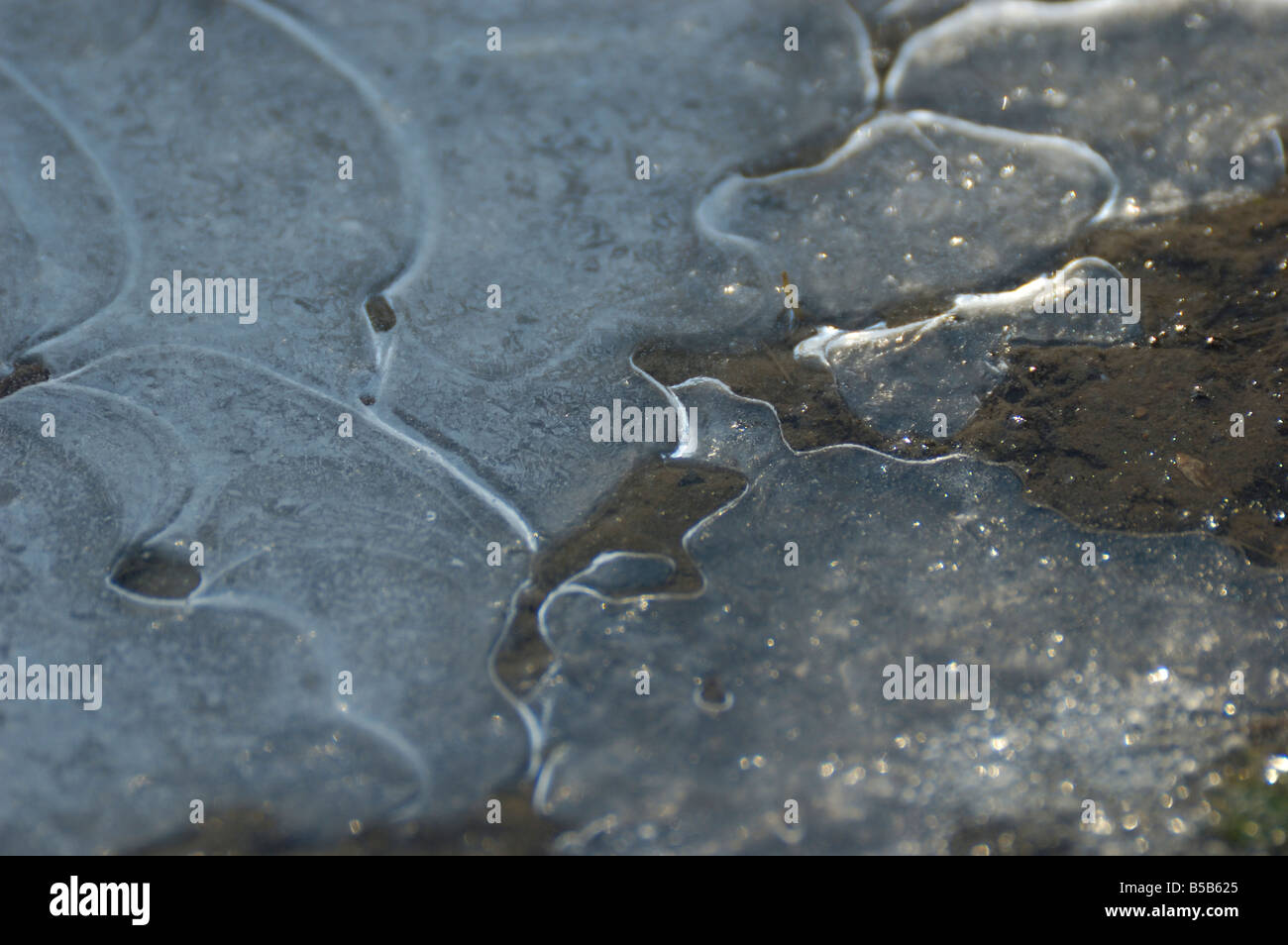 Frozen patterned puddle Stock Photo - Alamy