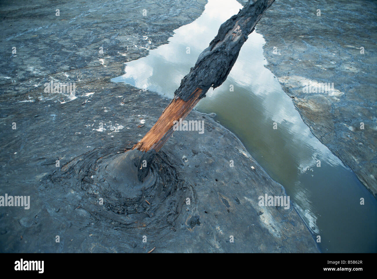 Pitch lake trinidad hi-res stock photography and images - Alamy