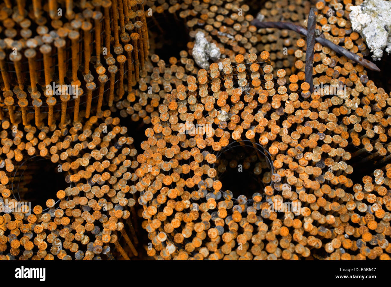 Collection of rusty nails Stock Photo - Alamy