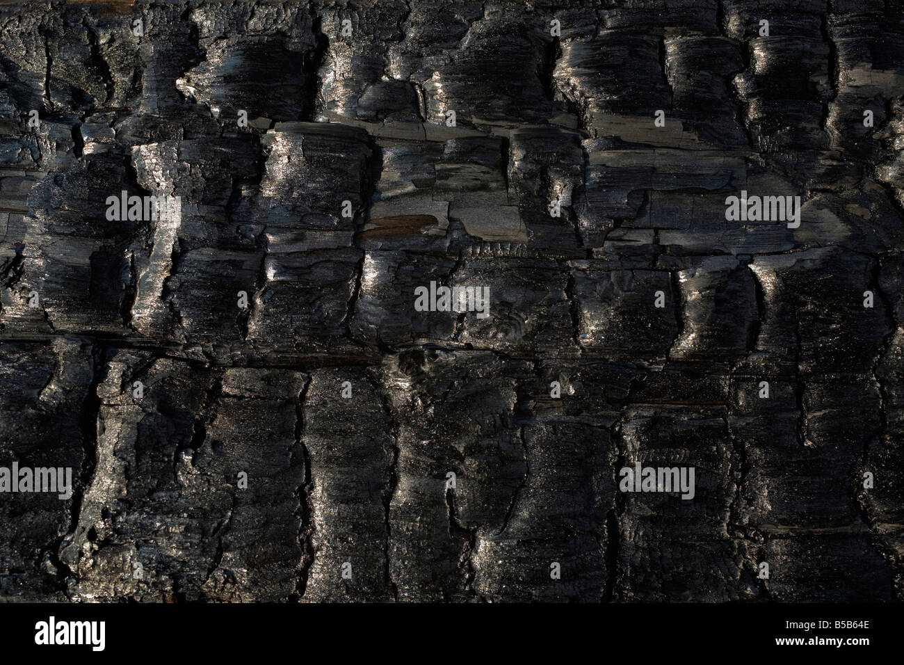 Close-up of charred wood Stock Photo - Alamy