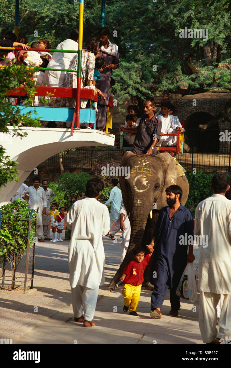 Elephant ride at the zoo Lahore Pakistan Asia Stock Photo - Alamy