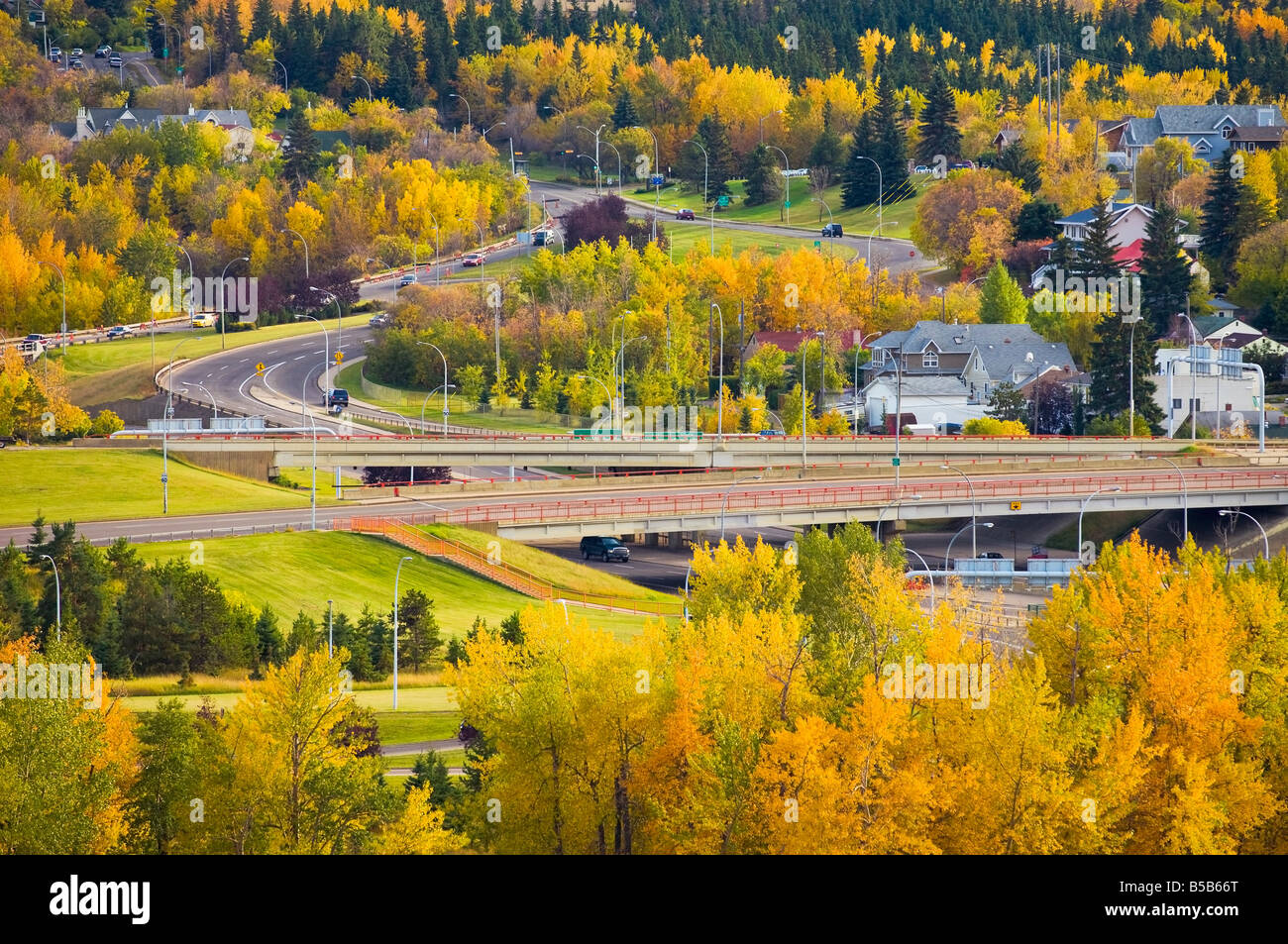 Edmonton river valley trees hi-res stock photography and images - Alamy