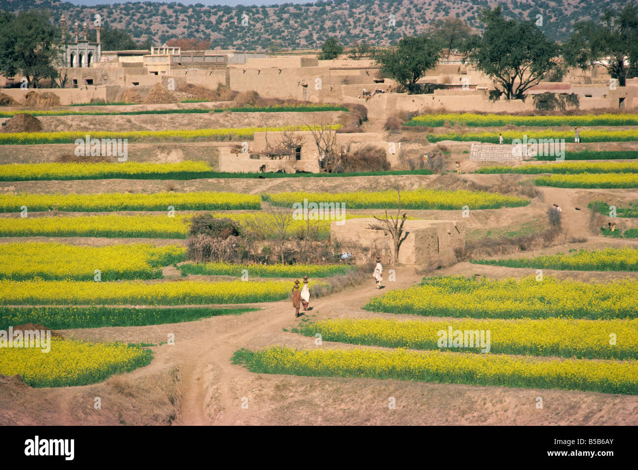 Village near Rawalpindi Pakistan Asia Stock Photo - Alamy