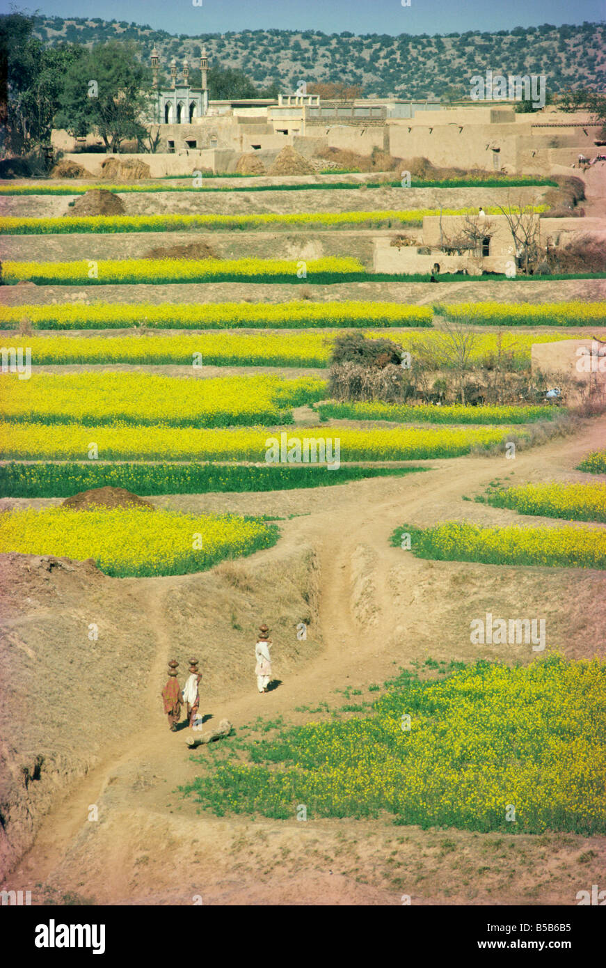 Village near Rawalpindi Pakistan Asia Stock Photo - Alamy